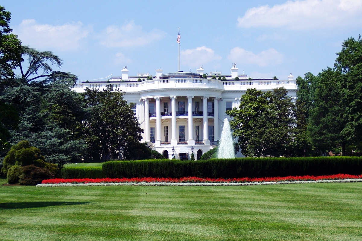 How and Why Public Companies Lobby to Congress - The Animal House